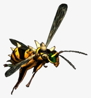 Halfling - Dnd 5e Halfling Monk PNG Image | Transparent PNG Free ...