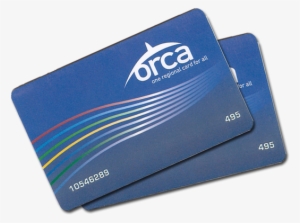 Orca PNG Image | Transparent PNG Free Download on SeekPNG