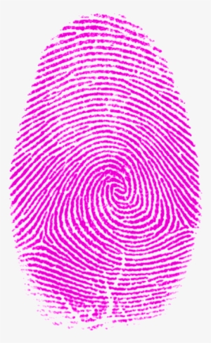 Fingerprint - Fingerprint Patterns PNG Image | Transparent PNG Free ...