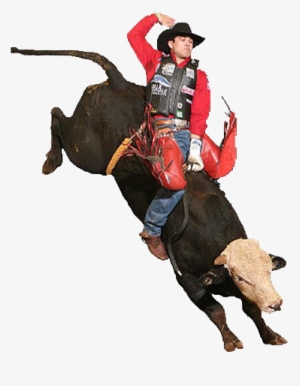 Toro España - Imagenes De Toros Png PNG Image | Transparent PNG Free ...