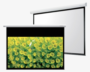 Ambertec Cyber Motorized 106" Projector Screen - Motorized Projector ...