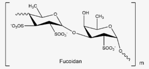 5 Structure Of Fucoidan - Fucoidan Structure PNG Image | Transparent ...