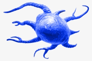 Γδ T Cell - Dendritic Cell PNG Image | Transparent PNG Free Download on ...