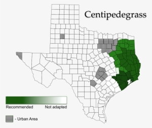 Centipedegrass Map - Alpha PNG Image | Transparent PNG Free Download on ...