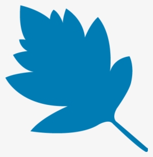 Starleaf Breeze Logo - Star Leaf PNG Image | Transparent PNG Free ...