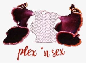 Plex Logo PNG Image | Transparent PNG Free Download on SeekPNG