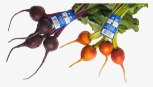 Beets - Root Vegetable PNG Image | Transparent PNG Free Download on SeekPNG