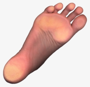 Foot - “ - Step On A Lego Pain PNG Image | Transparent PNG Free ...