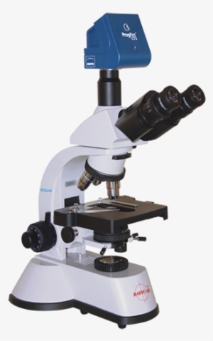 Microscope Svg Png Ico - Microscope Icon Free PNG Image | Transparent ...