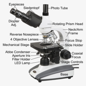 Microscope Parts Mechanical Stage PNG Image | Transparent PNG Free ...
