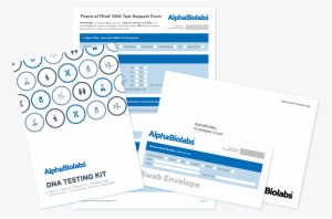 Why Use Alphabiolabs For Your Y Chromosome Test - Dna Paternity Testing ...