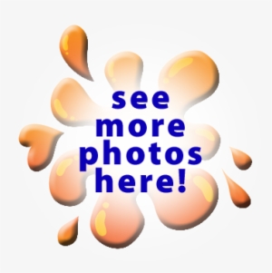 We Also Proudly Offer PNG Image | Transparent PNG Free Download on SeekPNG