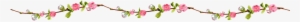 Flores Em Png - Margem De Flor Png PNG Image | Transparent PNG Free ...