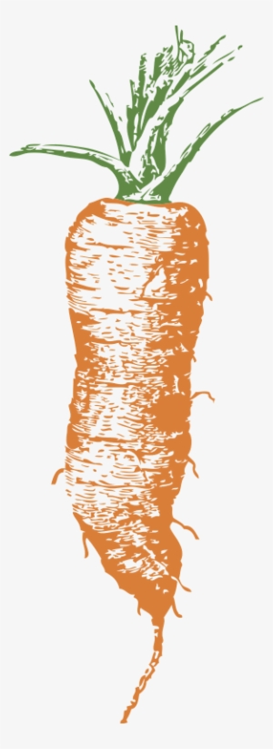 A Half Long Carrot - Baby Carrot Poem PNG Image | Transparent PNG Free ...