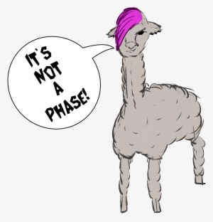 It's Not A Phase Alpaca - Transparent Images Of Alpacas PNG Image ...