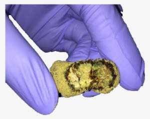 Weed Nug Png Transparent - Marijuana Nug Png PNG Image | Transparent ...