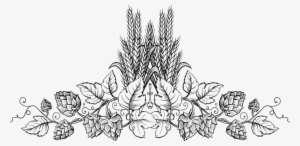 Scroll - Houblon Design PNG Image | Transparent PNG Free Download on ...