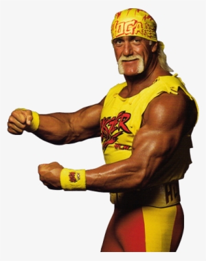 The Pursuit Of Glory - Hulk Hogan Wcw Png PNG Image | Transparent PNG ...
