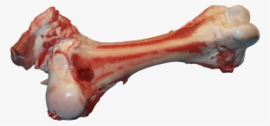 Bone Png - Meat Bones Png PNG Image | Transparent PNG Free Download on ...