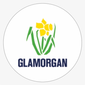 Glamorgan Ccc - Glamorgan Cricket Logo PNG Image | Transparent PNG Free ...