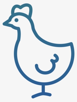 Broiler Chicken - Icon Poultry PNG Image | Transparent PNG Free ...