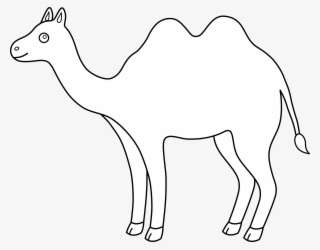 Colorable Outline Of A Camel - Camel Clipart Outline PNG Image ...
