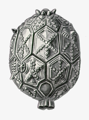 Art Forms In Nature PNG Image | Transparent PNG Free Download on SeekPNG