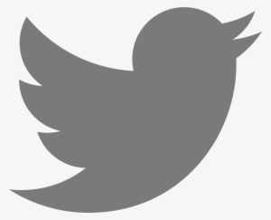 Twitter Grey Logo Png PNG Image | Transparent PNG Free Download on SeekPNG