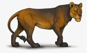 Mhym5ag - Lioden Xanthic PNG Image | Transparent PNG Free Download on ...