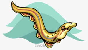 Transparent Eel Freshwater Clip Transparent - Freshwater Eel Png PNG ...