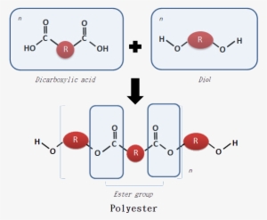 Polymerization Reaction Of Polyester Polyol - Graphic Design PNG Image ...