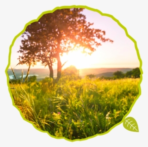 Respect For Nature PNG Image | Transparent PNG Free Download on SeekPNG