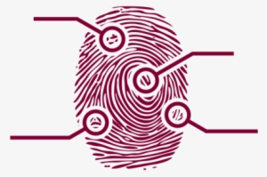 Fingerprint Detective Biometrics Fingerabdruckscanner - Forensic ...