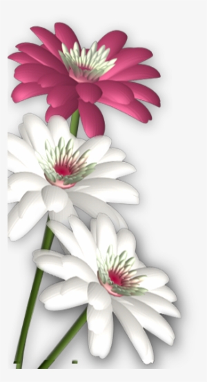 Flowers Png - Thinking About You Messages PNG Image | Transparent PNG ...