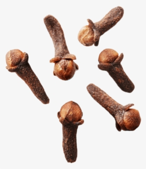 Cloves - Cloves Png PNG Image | Transparent PNG Free Download on SeekPNG