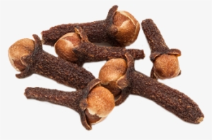 Clove - Clou De Girofle PNG Image | Transparent PNG Free Download on ...
