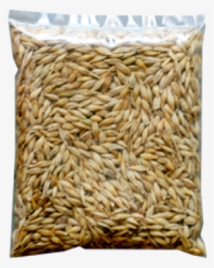 Download Jau Barley Grain - Grain | Transparent PNG Download | SeekPNG