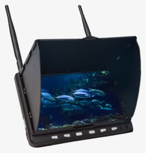 Dynamic Audio Device Fusion 12ma Active Stage Monitor - Fusion Live ...