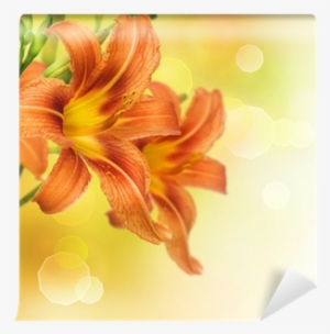 Yellow Lily Flower Border Design Wall Mural • Pixers® - Beautiful ...