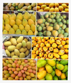 Aam - - Almond PNG Image | Transparent PNG Free Download on SeekPNG