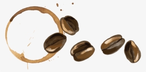 Coffee Bean Stain - Stain PNG Image | Transparent PNG Free Download on ...