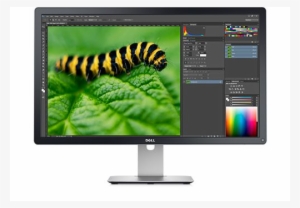 Dell Up3216q Monitor - Dell Ultrasharp 32 Ultra Hd 4k Monitor Up3216q ...