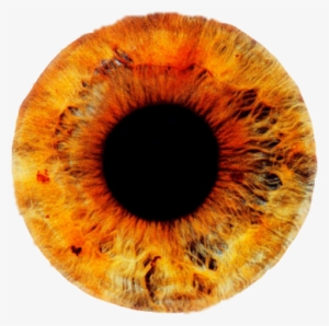 Yellow Red Orange Eye Lens Contactlens Honey Fire Sun - Ice Blue Eyes ...