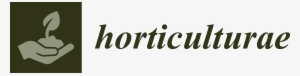 Free Full Text - Open Access PNG Image | Transparent PNG Free Download ...