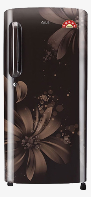 Fridge - Lg Refrigerator 215 Ltr PNG Image | Transparent PNG Free ...