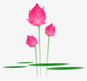 Lotus Flower In Water Bloss - Lotus Png PNG Image | Transparent PNG ...