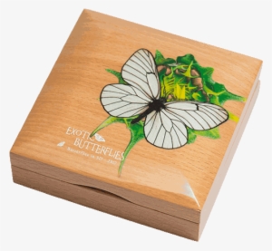 Silver Numismatic Black-veined White Butterflies In - Coin PNG Image ...