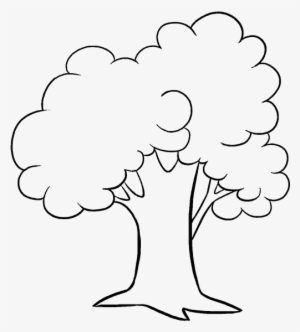 Line Drawing Of A Tree At Getdrawings - Trees Drawing PNG Image ...