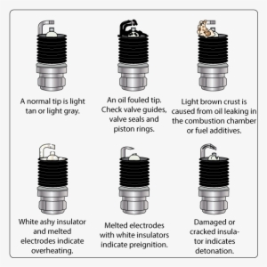 Coolant On Spark Plugs