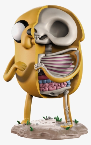 Jake And Finn Skeleton PNG Image | Transparent PNG Free Download on SeekPNG